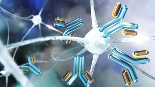 Neuro-immune crosstalk