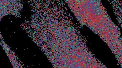 Method of the Year 2020: spatially resolved transcriptomics