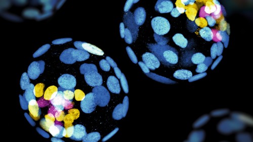 Method of the Year 2023: Methods for modeling development