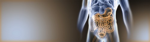 Cell & developmental biology in the digestive system