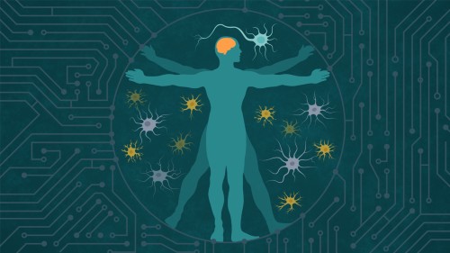 Focus on neural control of energy homeostasis