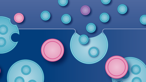 Extracellular vesicles