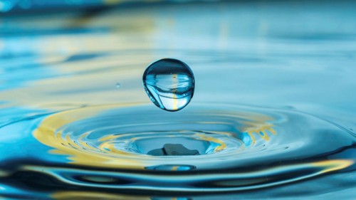 Dynamics of droplets and bubbles and their applications