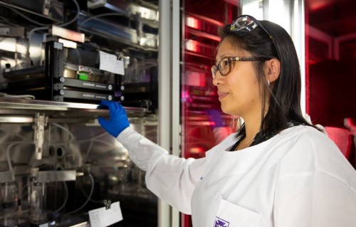 Coronavirus and scientific careers