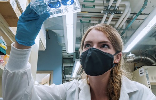 Coronavirus and scientific careers