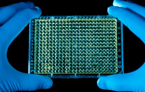 The human genome at 20