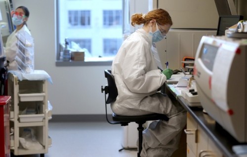 Coronavirus and scientific careers