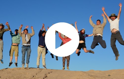 How to collaborate in science