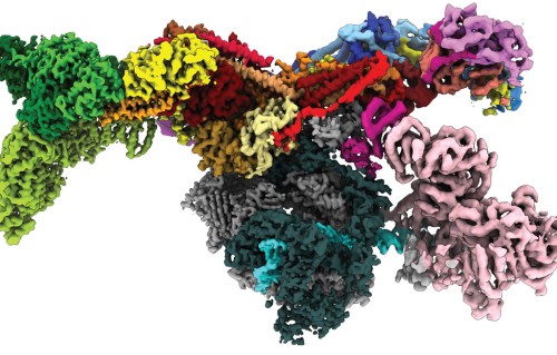Method of the Year 2021: Protein structure prediction