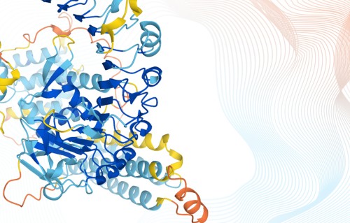 Method of the Year 2021: Protein structure prediction