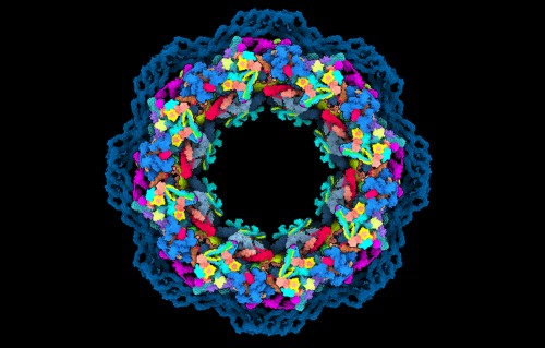 Method of the Year 2021: Protein structure prediction