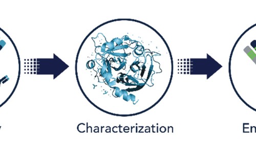 Advances in antibody technologies