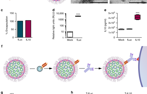 Stem Cells and Disease