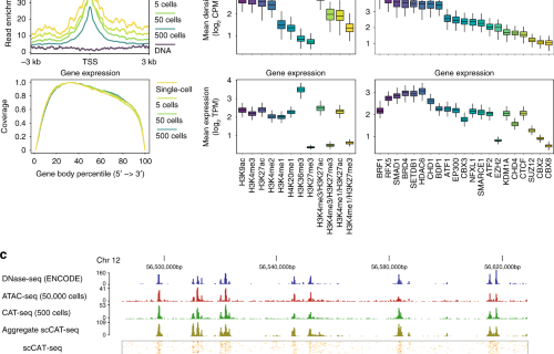 Genomes and Epigenomes