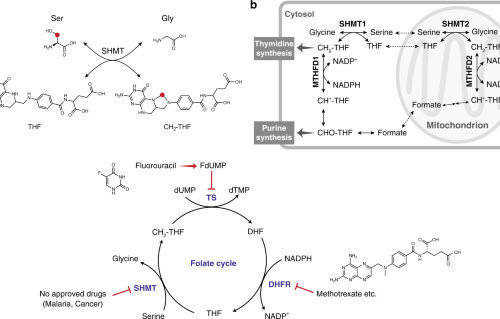 Organic Chemistry and Chemical Biology