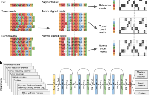 Genomes and Epigenomes