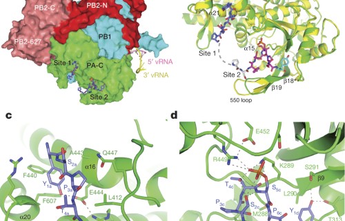 Centenary of the 1918 influenza pandemic