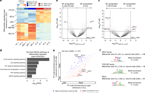 Genomes and Epigenomes