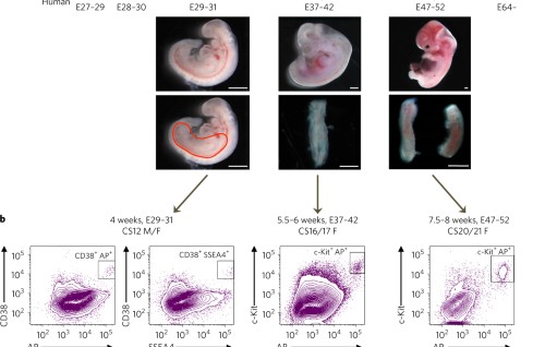 Focus on mitochondrial form and function