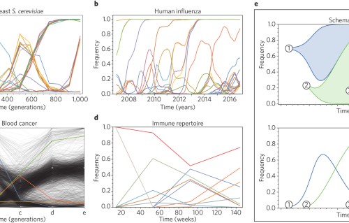 Centenary of the 1918 influenza pandemic