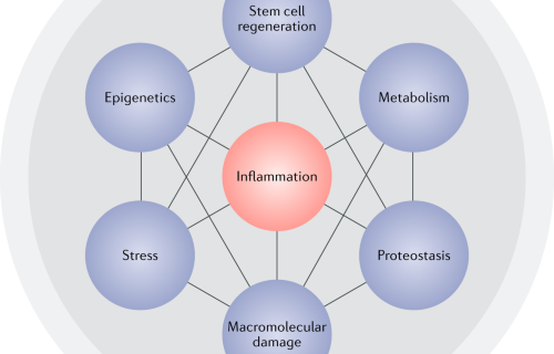Key Advances in Endocrinology