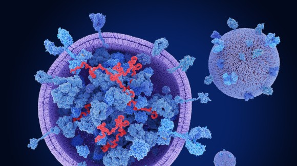 Extracellular vesicles
