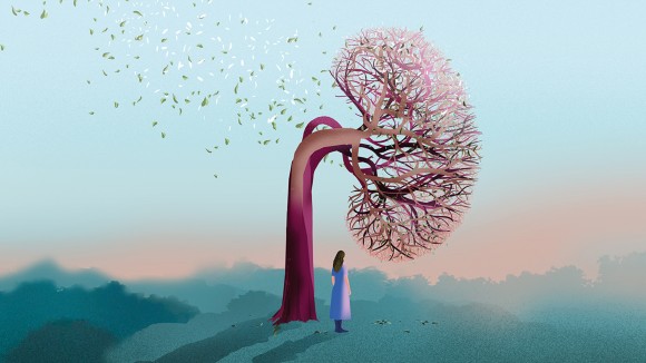 Chronic kidney disease