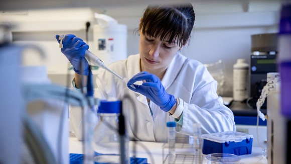 Careers advice from scientists in industry