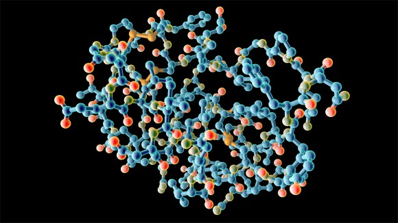 Insulin-like growth factor signalling