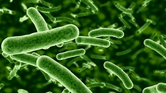 Industrial microbiology