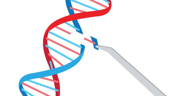Genome editing