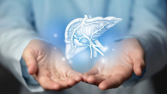 How to submit | Advances in solid organ transplantation immunology