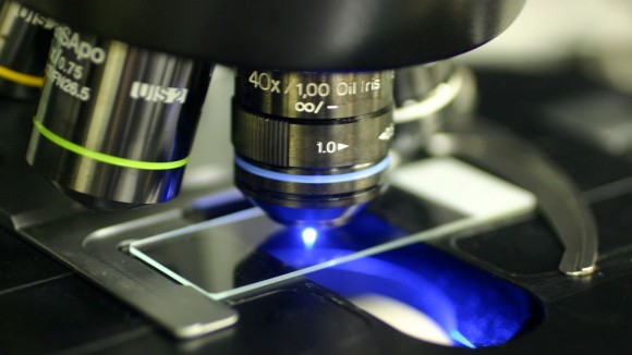 Annotated Optical Microscopy Datasets