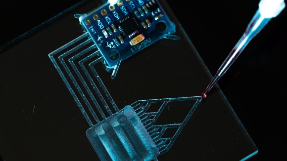 Physics in biofabrication