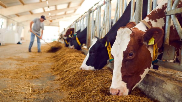 Emissions from food production