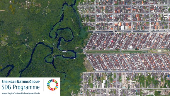 Urban Sustainability in the Global South