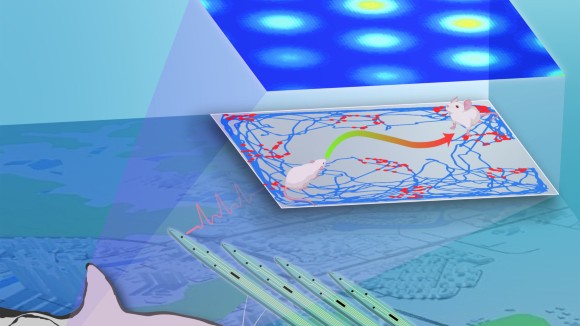 Micro Devices and Microsystems of Brain Computer Interface