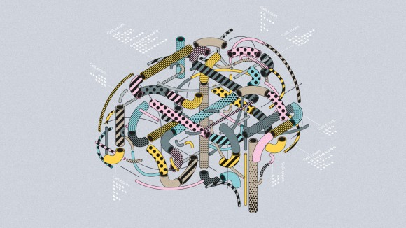 Brain Initiative Cell Census Network