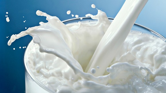 Focal Point on Dairy Research in China