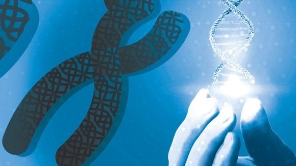 Abstracts from the 58th European Society of Human Genetics (ESHG ...