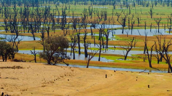 El Niño Southern Oscillation (ENSO)
