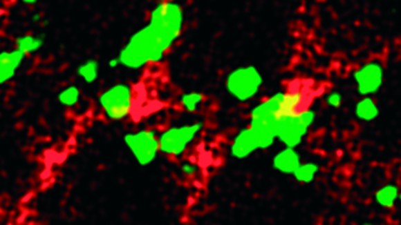 The nucleoside diphosphate kinase superfamily: state of the art