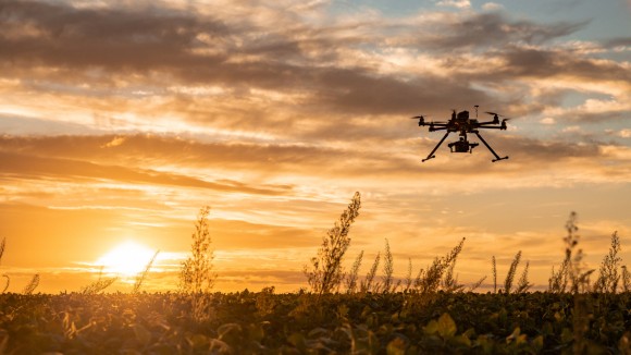 Computer vision in plant science and agriculture