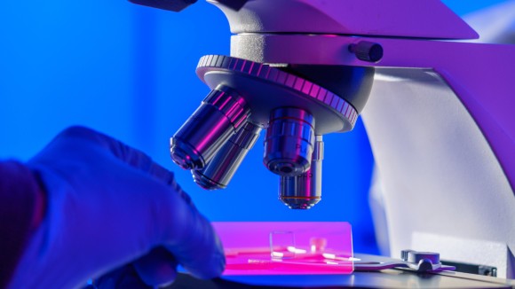 Quantum-Enabled Bioimaging