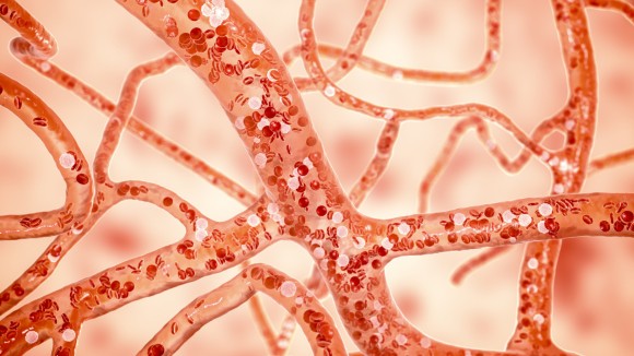 How to submit | Repairing and Regenerating the Vascular Code Across ...