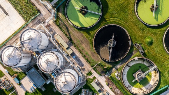 Algae as bioremediation for pollution