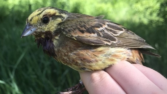 Heredity prize for the Best Student Paper 2023