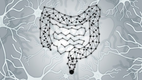 Neurogastroenterology