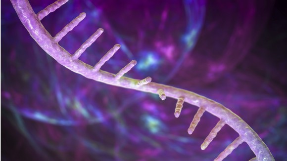 About the Guest Editors | RNA methylation in health, disease and ...