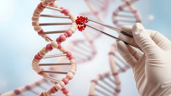 [Special Feature] Revolution of Biotechnology with CRISPR